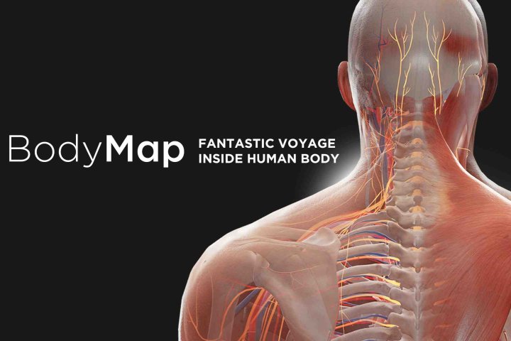 Oculus Quest 游戏《解剖学和医学教育》BodyMap for Anatomy and Medical Education – VR ...